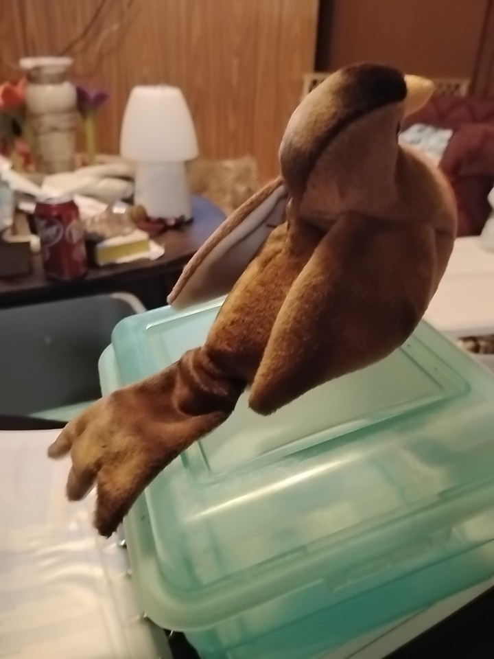 ️ EARLY ️ 1997 Ty Beanie Babies Red Breasted ROBIN Bird Baby *MWMT* | eBay