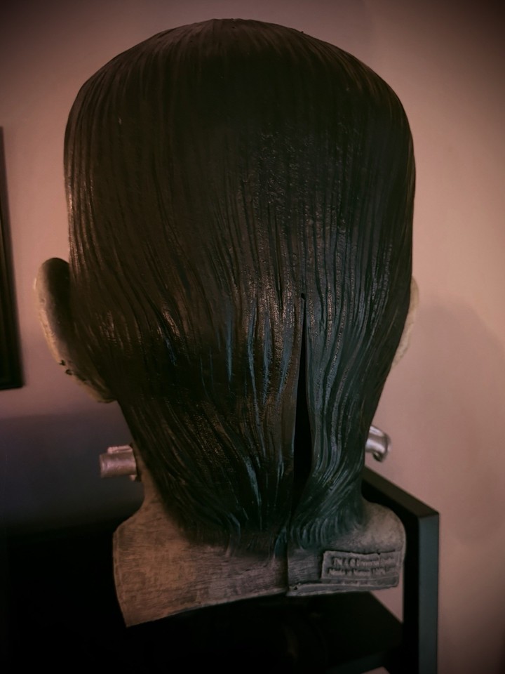 Universal Studios Monsters Frankenstein Adult Latex Halloween Mask | eBay