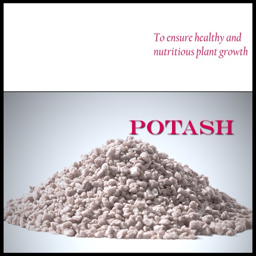 POTASH ORGANIC Granular Sulphate of Potash Soluble Fertiliser Premium ...