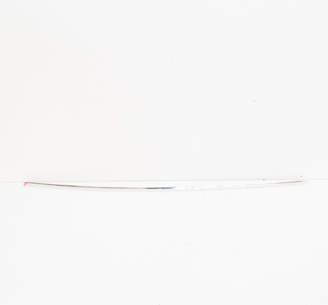 Genuine Volkswagen Beetle Front Right Side Door Chrome Molding ...