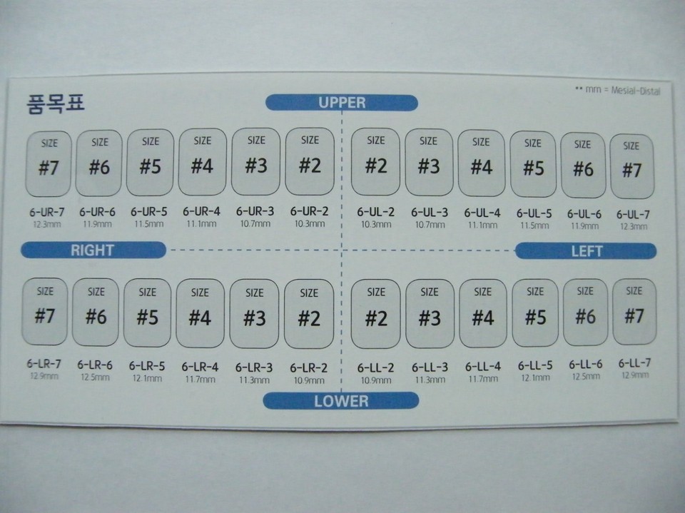 Dental Permanent Molar Crowns Adult Preformed Temporary Crown Stainless ...