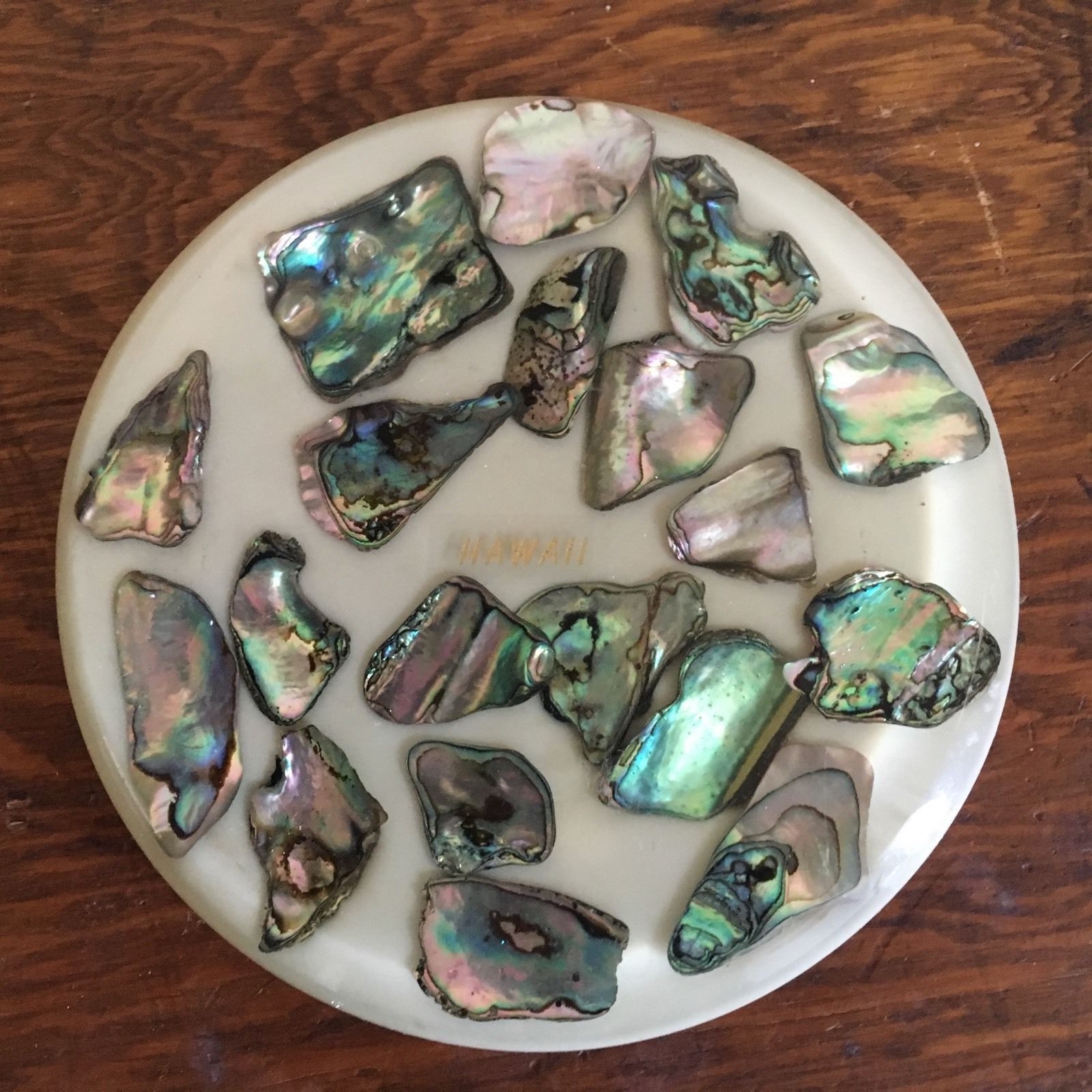 Abalone Shell Lucite Trivet Retro Mid Century Hawaii Souvenir ...