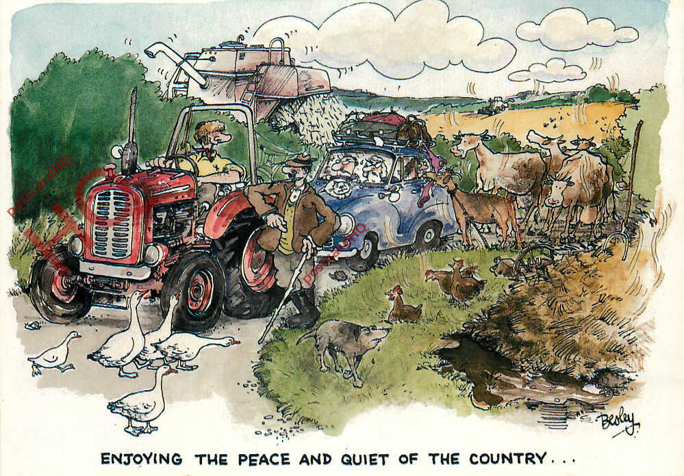 Picture Postcard~ Rupert Besley, Enjoying the Peace and Quiet of the ...