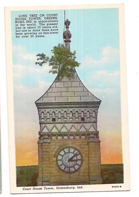 LONE TREE Grows on COURT HOUSE TOWER Greensburg Indiana Postcard IN 50 ...