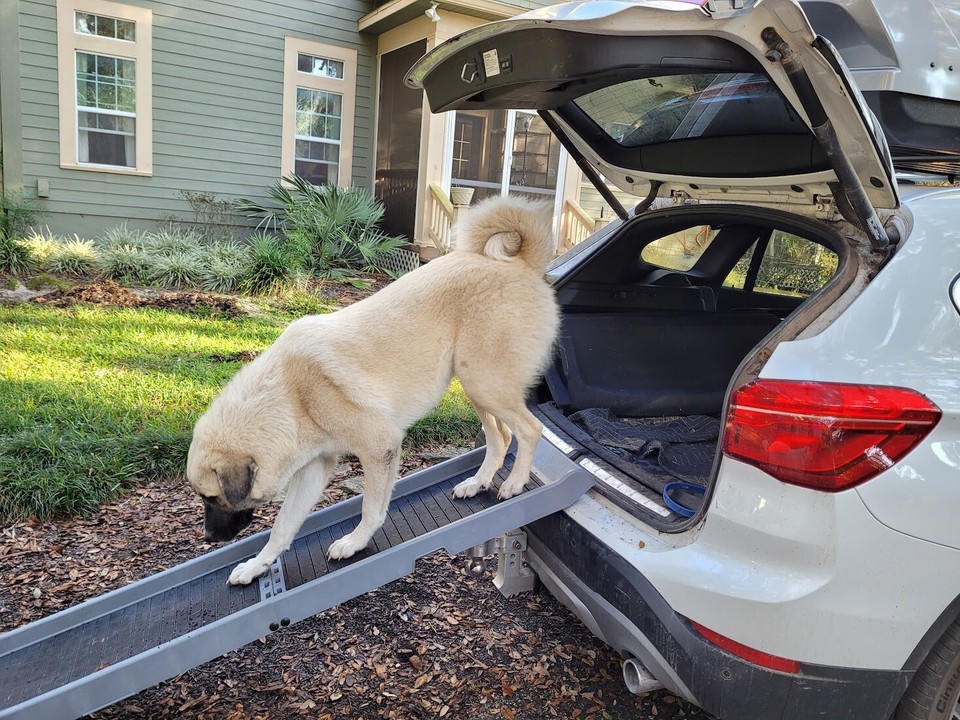 WeatherTech Pet Ramp Non-slip Folding Pet Ramp. Made in USA!! | eBay