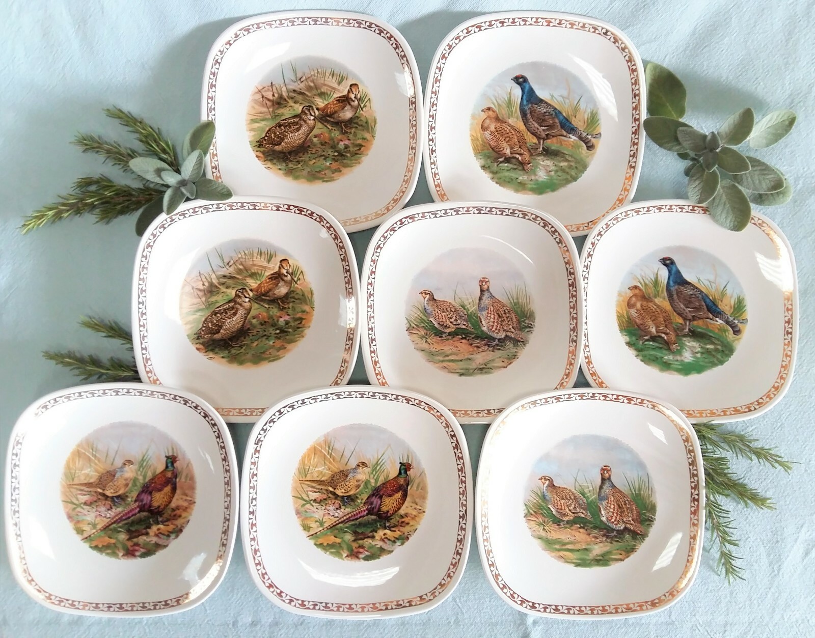 Eight Game Bird Dinner Plates. Pheasant, Partridge Snipe & Grouse ...