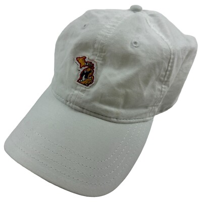 Pukka Ferris State University FSU Bulldogs Michigan White Baseball Cap ...