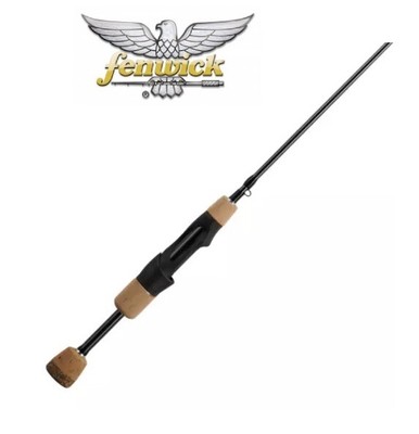 Rods - Fenwick World Class