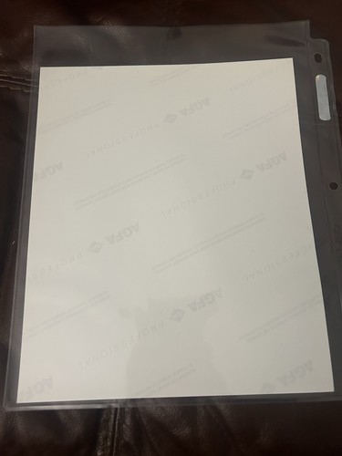 Bill Russell Auto Signed 8x10 Photo Celtics Legend HOF | eBay