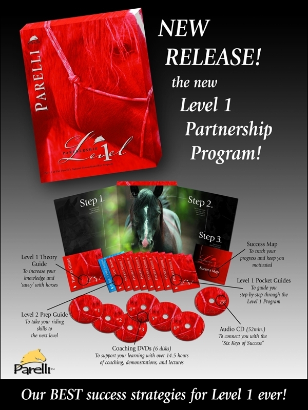 Parelli Level One Natural Horsemanship Training DVD - ORIG $269 - Nice ...