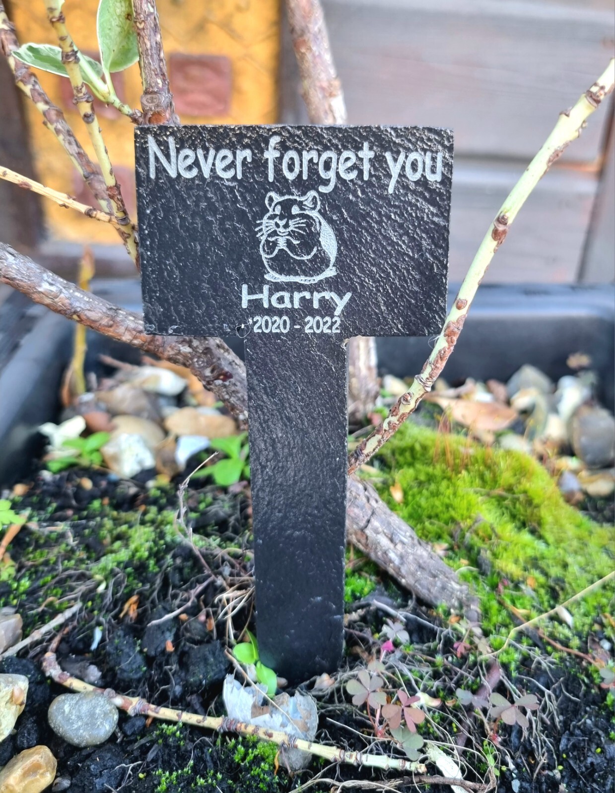 Personalised Hamster memorial slate Pet Grave Stone marker stake ...