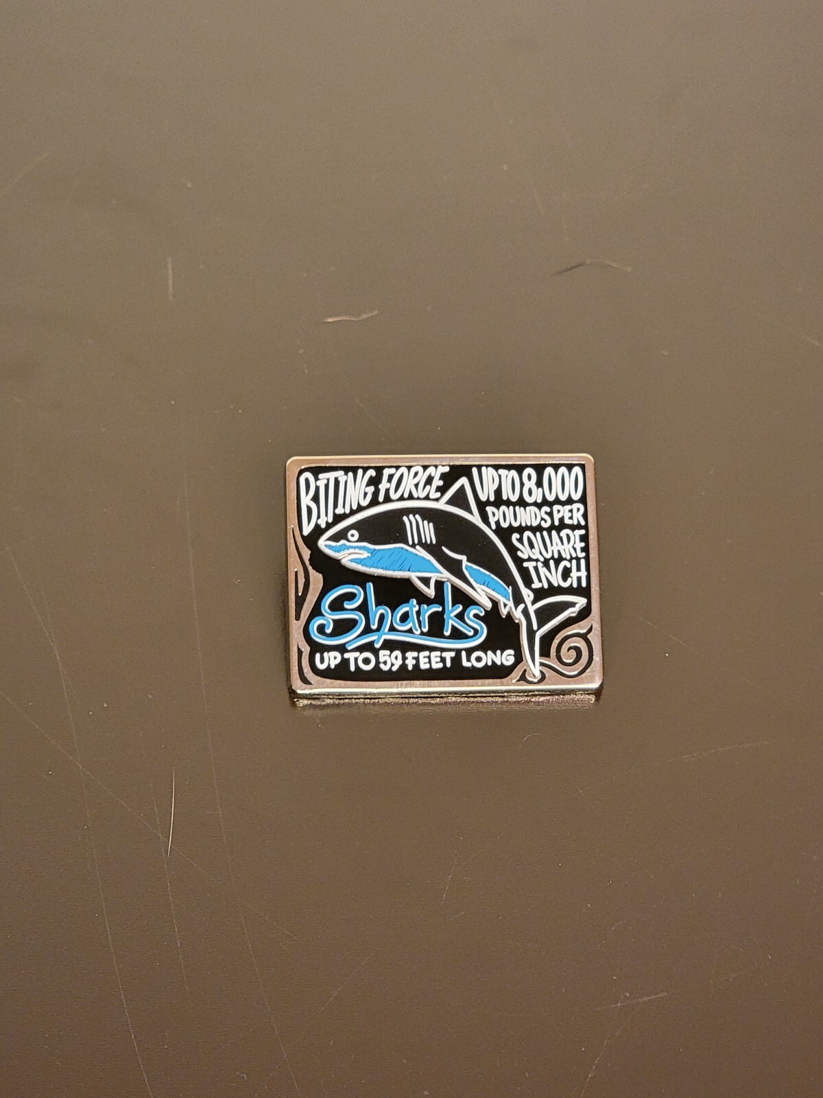 SeaWorld Chalk Art Sharks Pin Blind Box Mystery | eBay