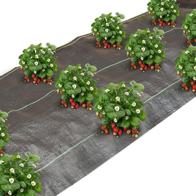 Weed Control Weed Block for Raised Bed 3.0oz, 4'x12',with Planting Hole ...