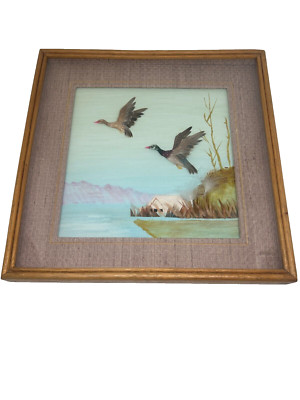 Vintage Feather Art 3-D Shadow Framed Box Frame Birds Geese Ducks in ...