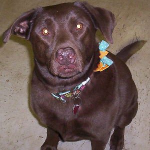 Mark Clemens Postcards | eBay Stores