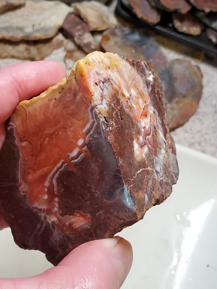 AAA+++ Dryhead Banded Fortification Agate Chunk Polished Montana 340g ...