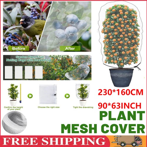 Fruit Fly Net Insect mesh Vegetable Plant Protection Cover Garden Bags ...