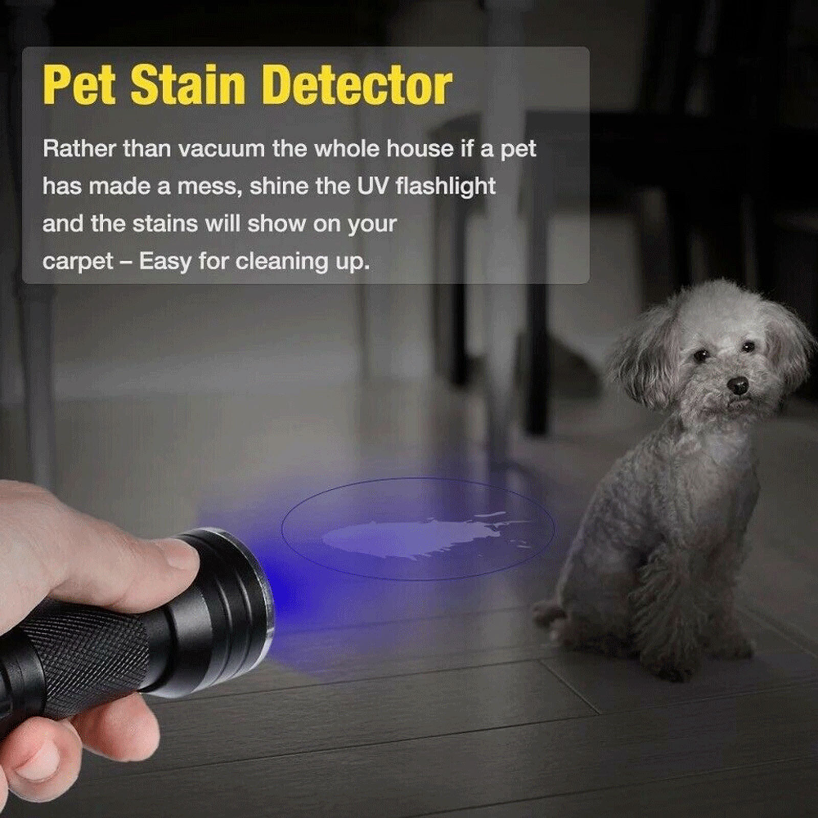 2X UV LED Flashlight Ultra Violet Blacklight Light Tactical Inspection ...