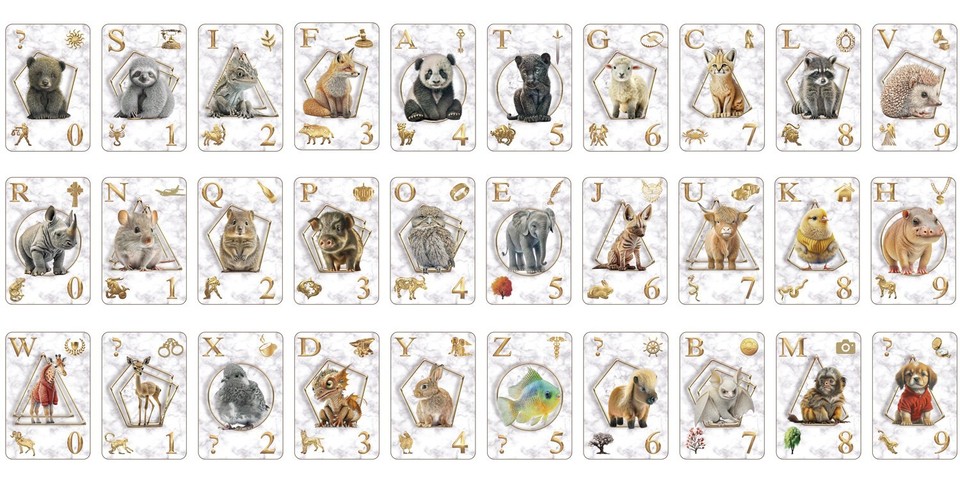 Signs of Destiny Oracle Deck | 30 Laminated Cards with Numbers, Letters ...