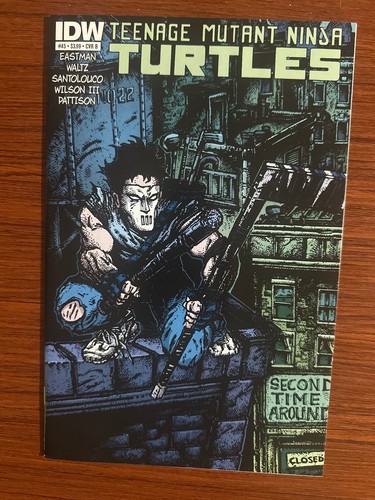 Teenage Mutant Ninja Turtles #45 IDW Comic Book Cover B | eBay