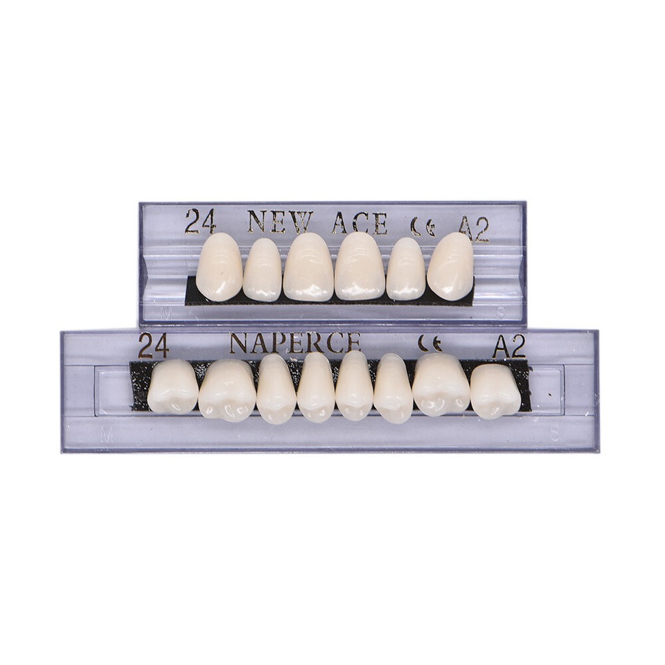 168pc Dental Acrylic Resin Tooth Shade 24# A2 Denture Full Set Teeth ...