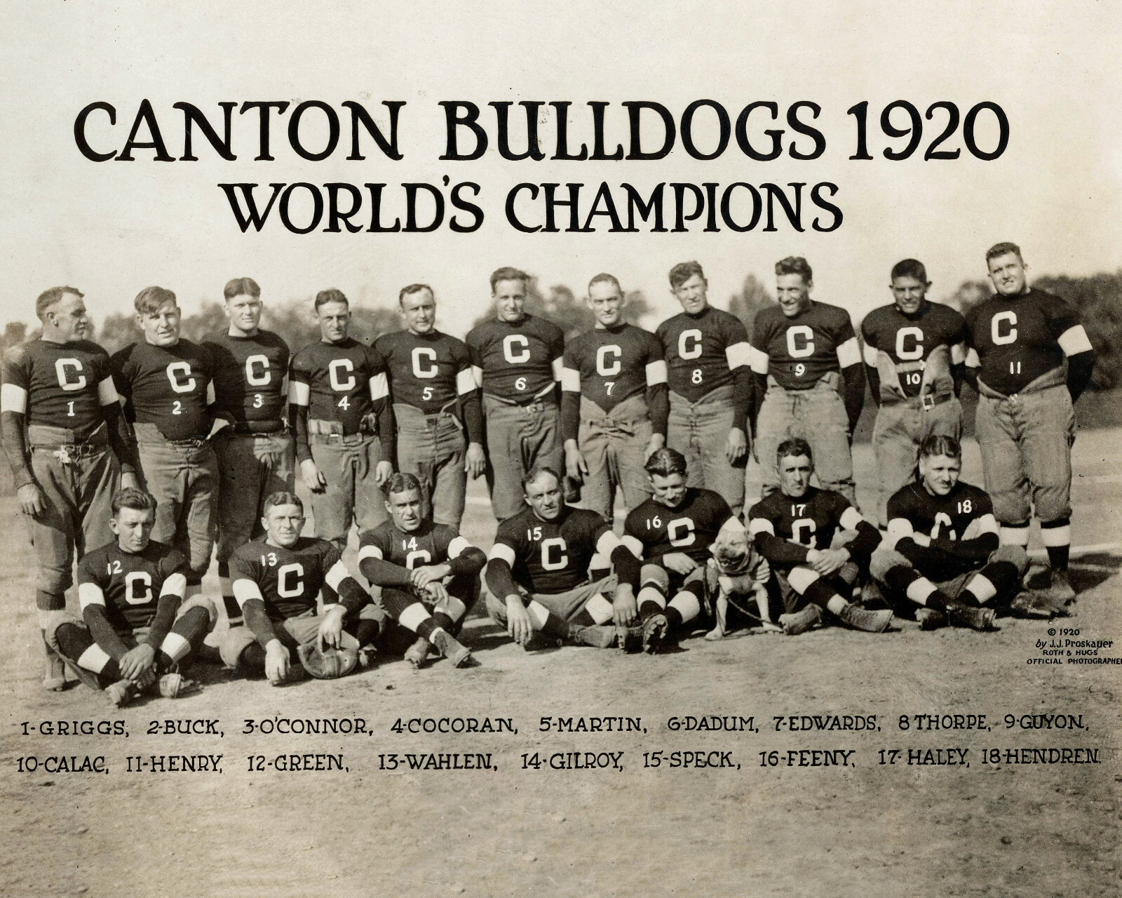 Canton Bulldogs - 1920 APFA World Champions, 8x10 Team Photo | eBay