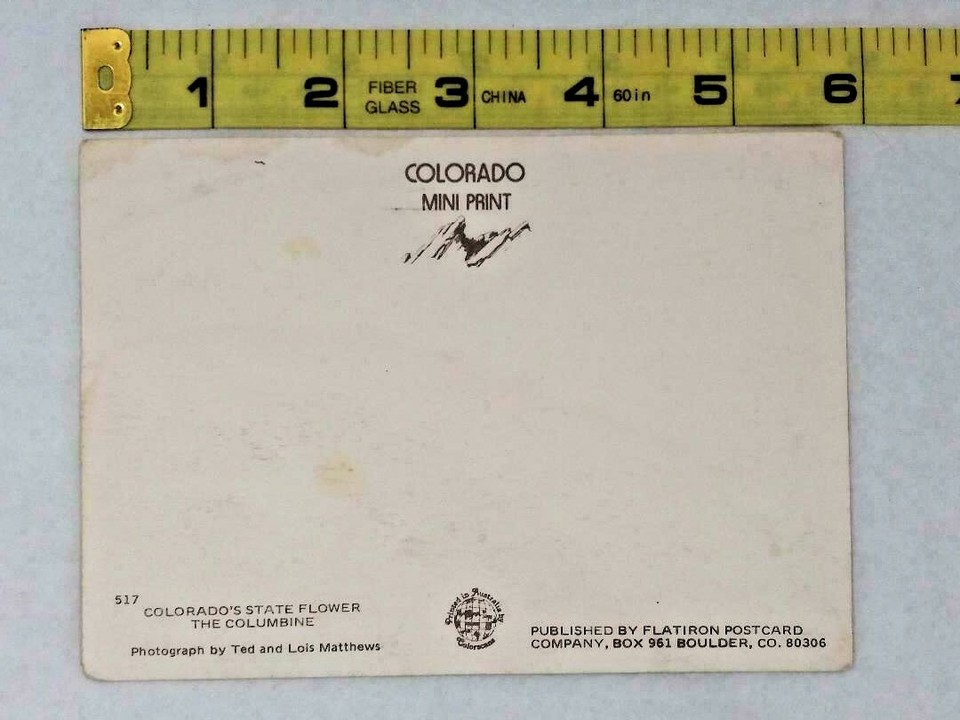 Vintage The Beautiful Columbine Colorado State Flower Postcard ~ Ships ...
