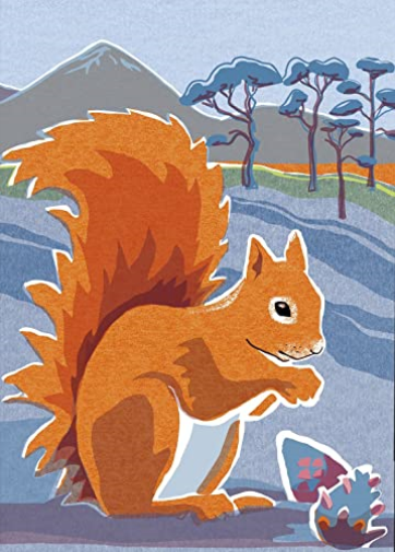 Nature Notebook: Red Squirrel Book NEUF 9781780278223 | eBay