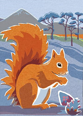 Nature Notebook: Red Squirrel Book NEUF | eBay