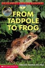 Scholastic Science Readers: From Tadpole To Frog - Paperback - GOOD ...