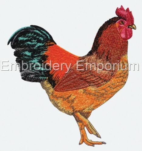 MACHINE EMBROIDERY DESIGNS USB - ROOSTERS 1 COLLECTION 5X7 CHICKENS ...