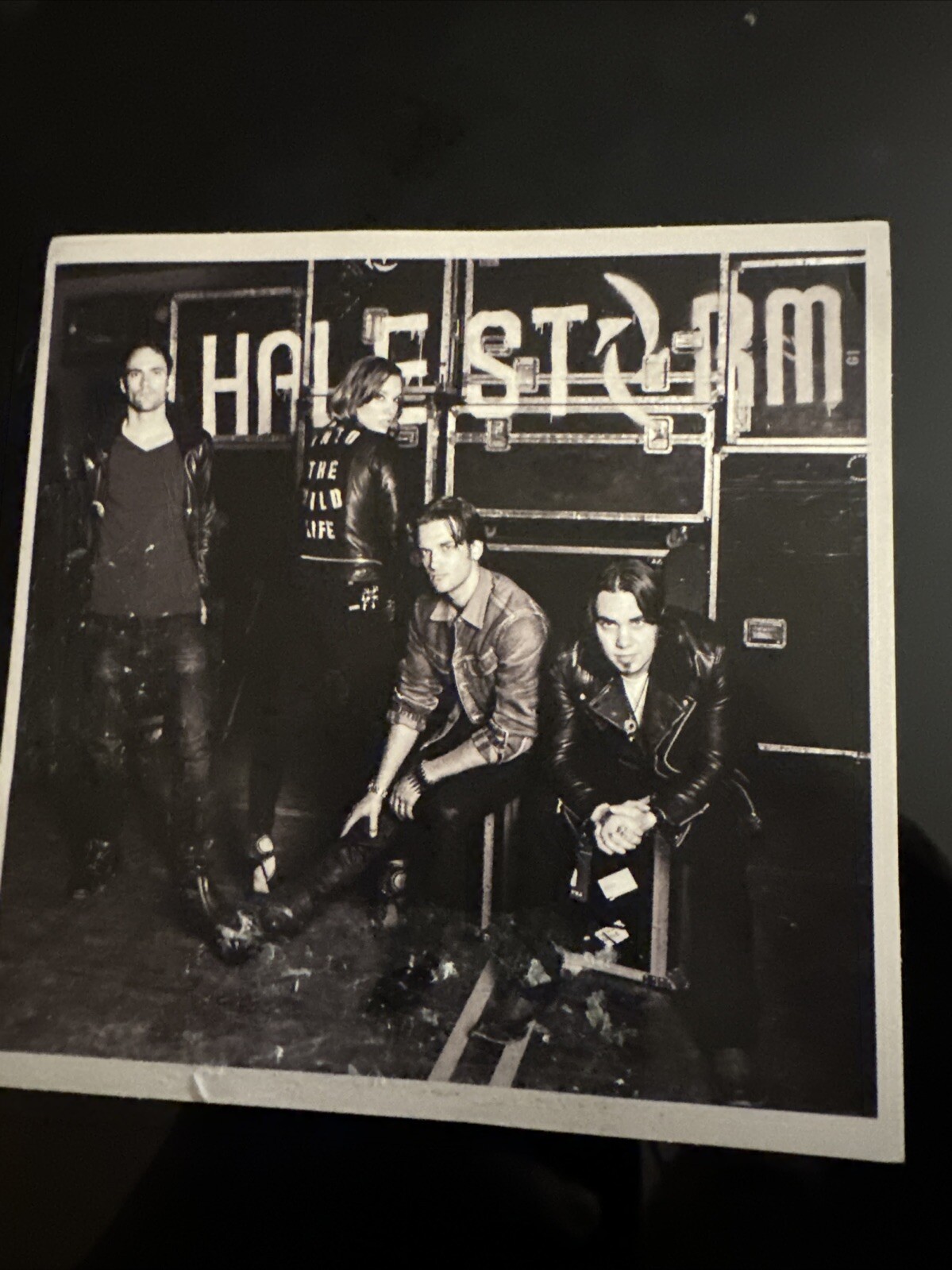 Halestorm - Into the Wild Life CD Lizzy Hale Ex Library Copy 75678670541 | eBay