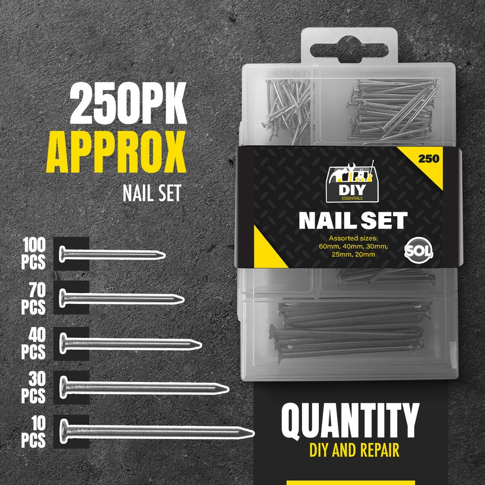 250 Assorted Flat Head Wood Nails Various DIY Carpentry Professional ...