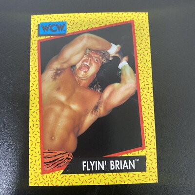 1991 IMPEL WCW FLYIN' BRIAN #55 | eBay