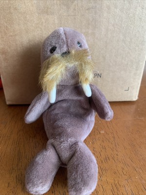 Ty 4082 Beanie Baby Plush Animal Jolly Walrus Style 1996 8421040827 | eBay