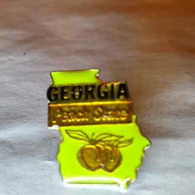 Beautiful vintage Georgia peach State pin | eBay