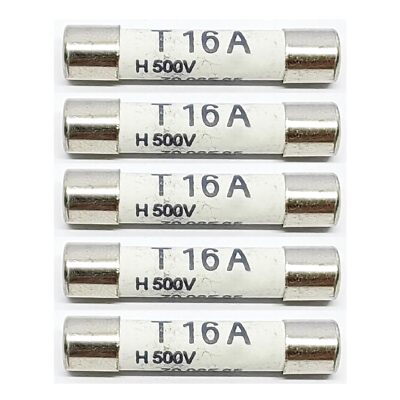 5 Pcs Multimeter Ceramic Tube delay Cylindrical Fuse 7006565 16A T16A ...