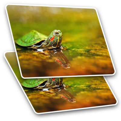 2 x Rectangle Stickers 7.5 cm - Little Turtle Terrapin Swimming Cool ...