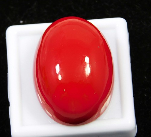 48.50 Cts Natural Italine Red Coral Cabochon Oval Cut Loose Gemstone ...