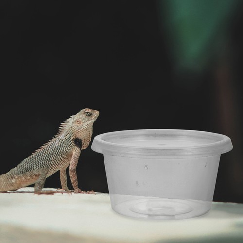 2 Pieces Reptile Feeding Case Small Enclosure Plastic Snake Breeding ...