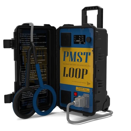 Newest PEMF PMST LOOP Physiotherapy Magneto Magnetic Therapy Machine ...