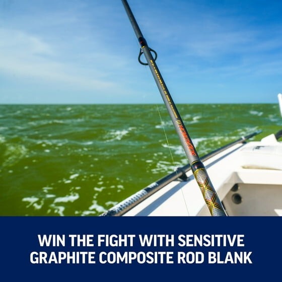 10ft Surf Spinning Rod, 2-Piece Graphite, 15-30lb, Medium Heavy | eBay