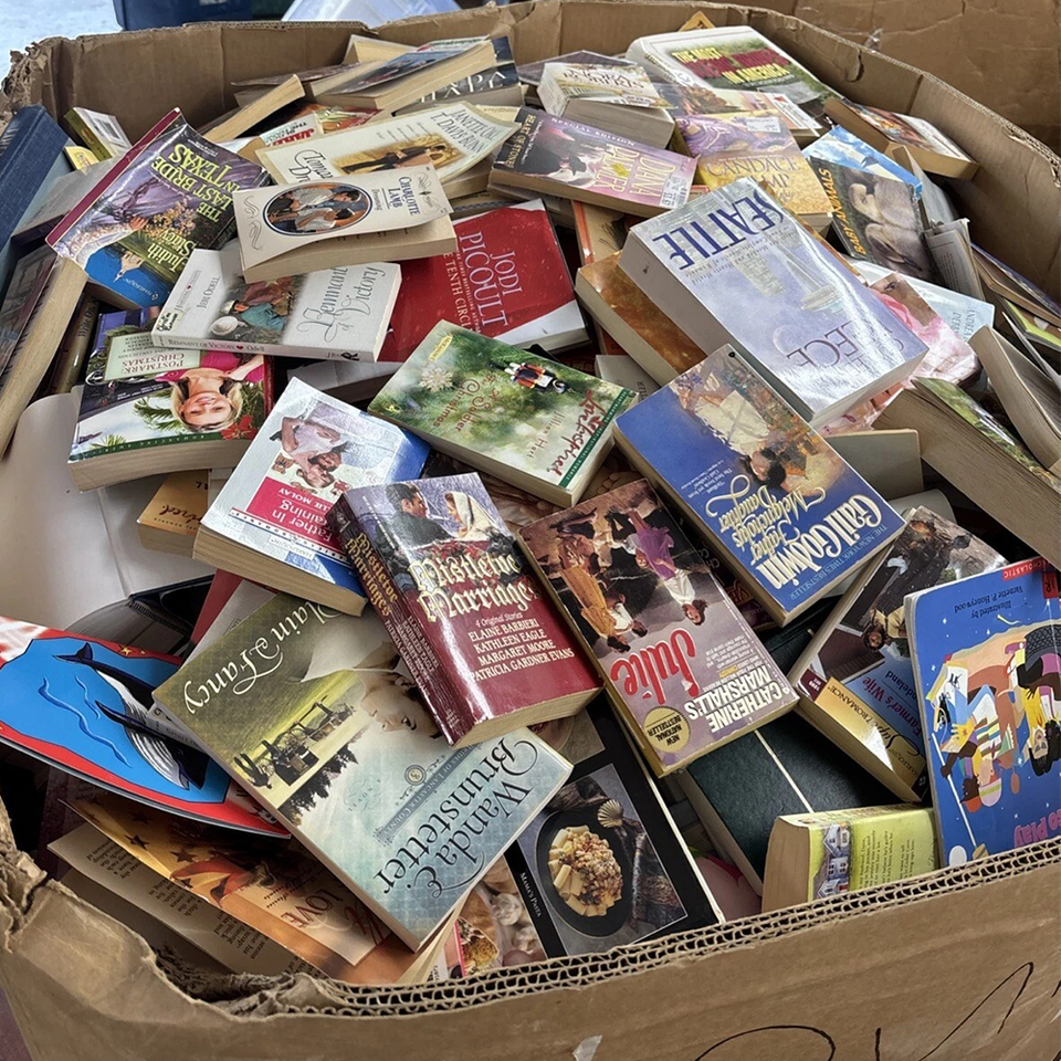 Bulk Wholesale Mixed Media Books Pallet 900-1000 lbs For Resellers ...