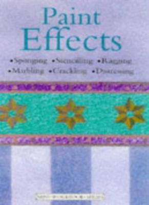 Paint Effects (Mini Workbook Series) (DIY Mini Workbooks) By Aut | eBay