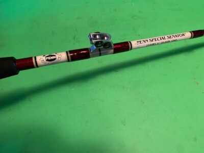 Big Game Rods - Senator 4 0