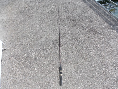Daiwa APOLLO GOLD #1910 U.L. 5-1/2' Graphite Spinning Rod (2Pc) 1/16-1 ...