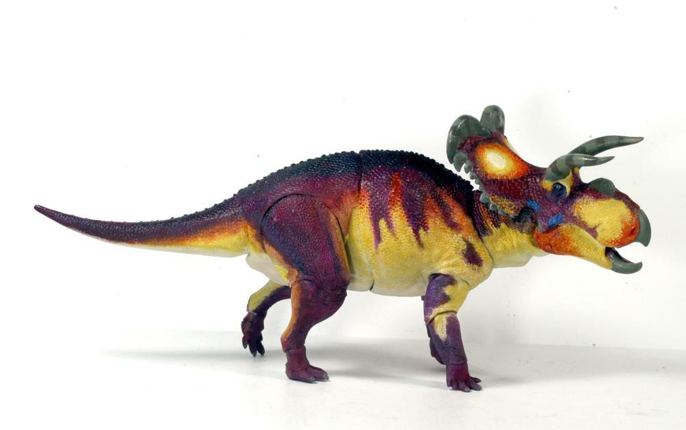 Medusaceratops New Material And Systematic Re Evaluation Of