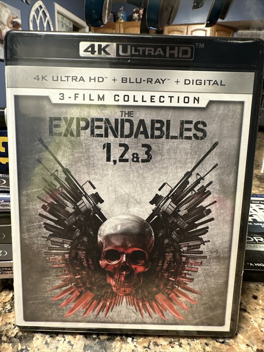 The Expendables 3 Skull The “What Hell Is Happening With Harrison
