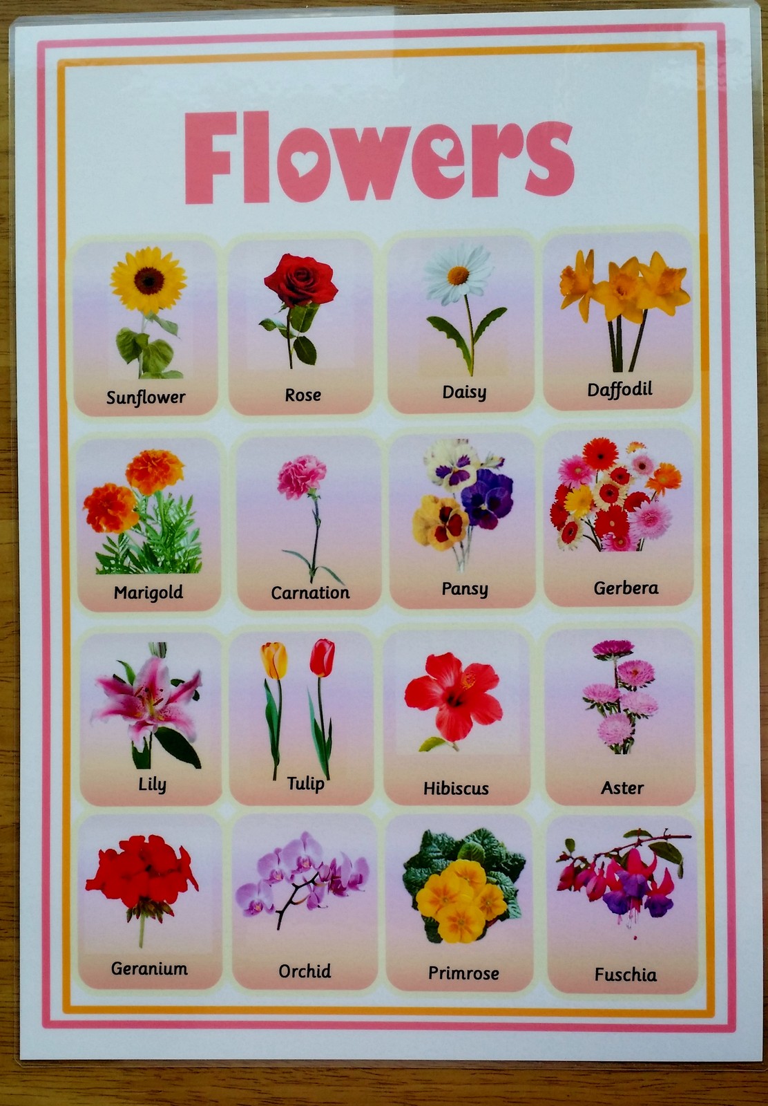 FLOWERS - A4 Laminated poster- EYFS / SEN/ GARDEN CENTRE- FLORIST ...