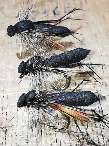 Black foam hoppers, hawthorn, heather fly dadies sz10 x 7 | eBay